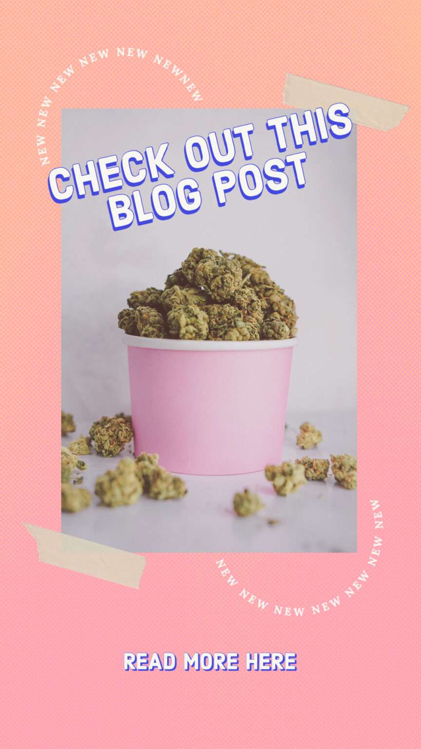 8 Essential Tools for Making Edibles at Home