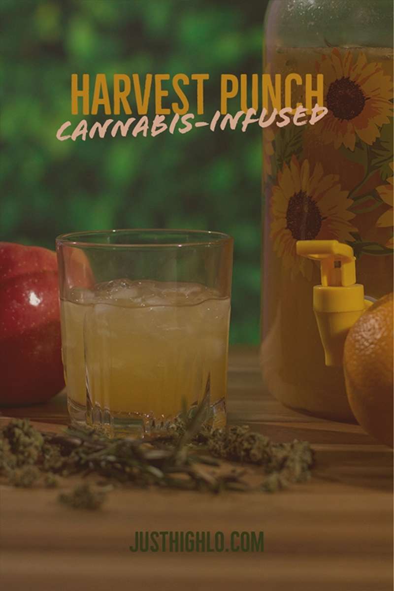 #48 Cannabis-infused Harvest Punch